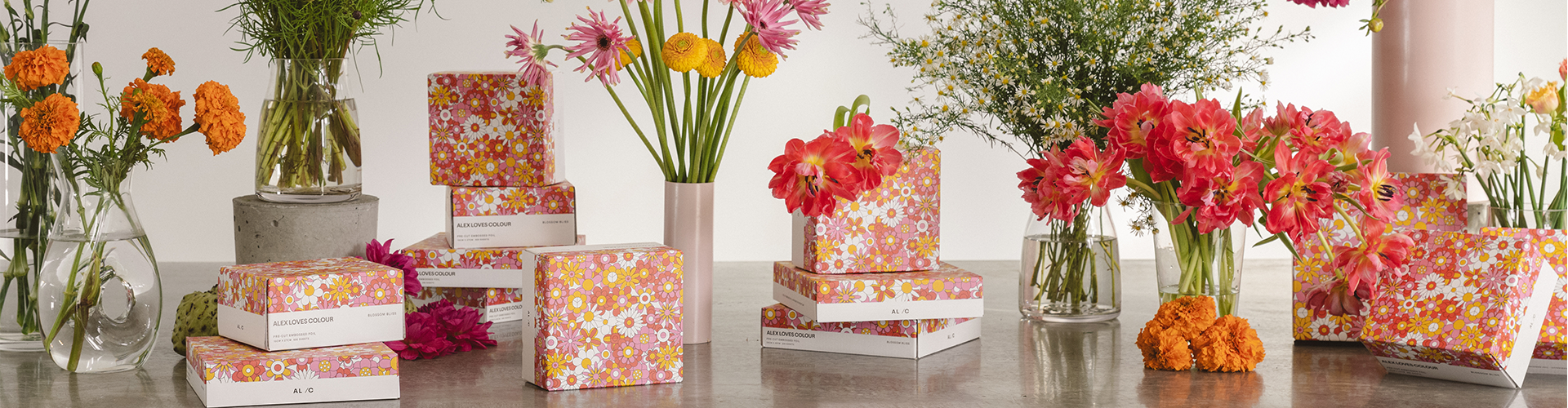 Alex Loves Colour – Rogue Beauty